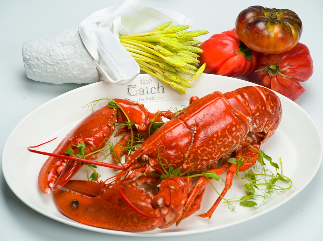 NEW The Catch by Rudi on Princess Cruises