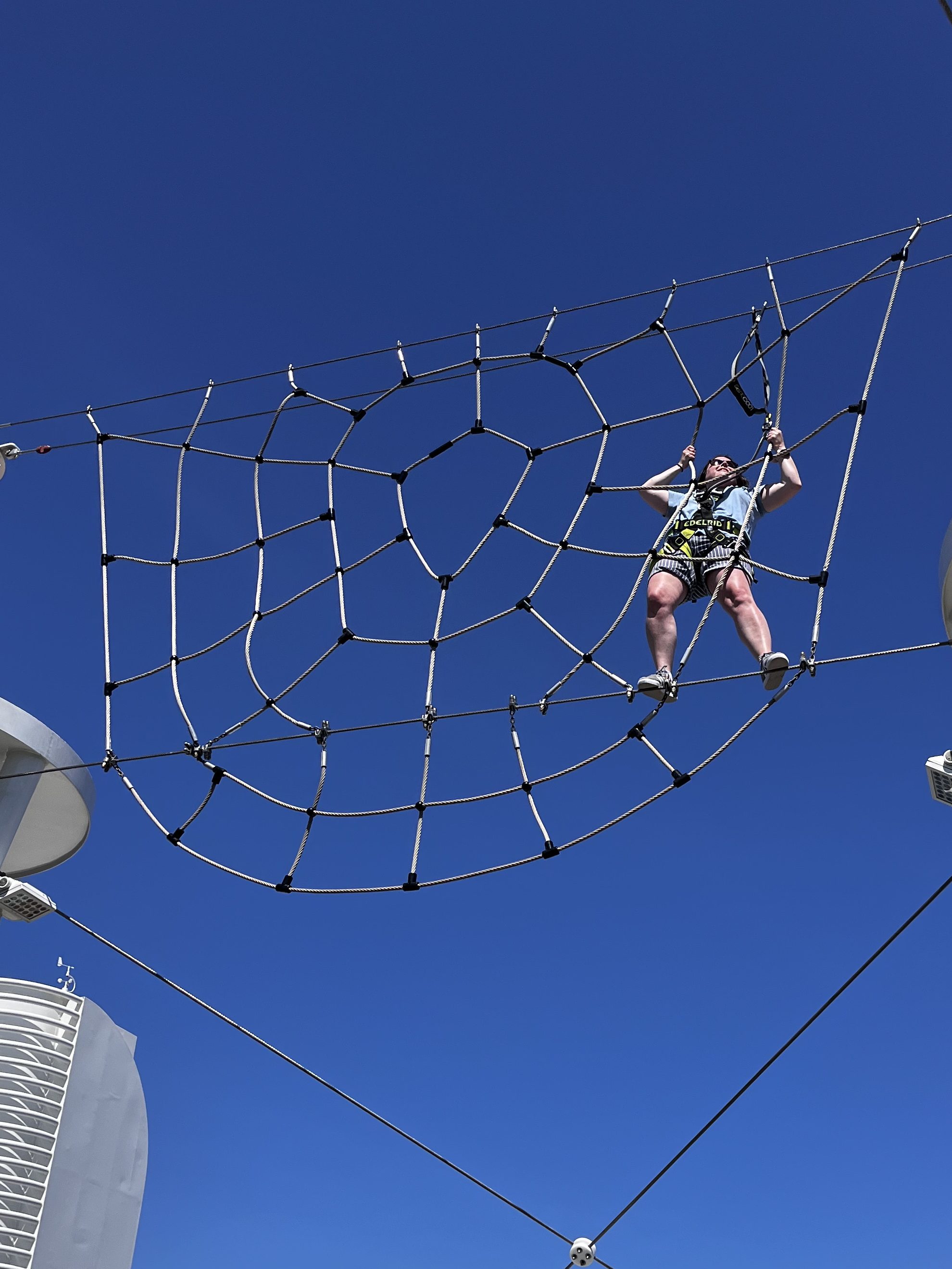 High Ropes Course on P&O Arvia: Everything you need to know